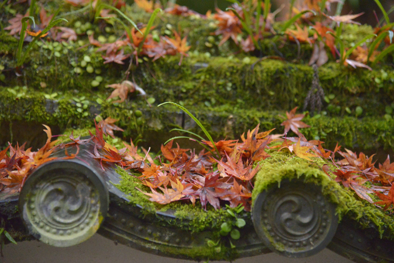 紅葉の奈良公園の写真が発売になりました！ | Studio Nomade