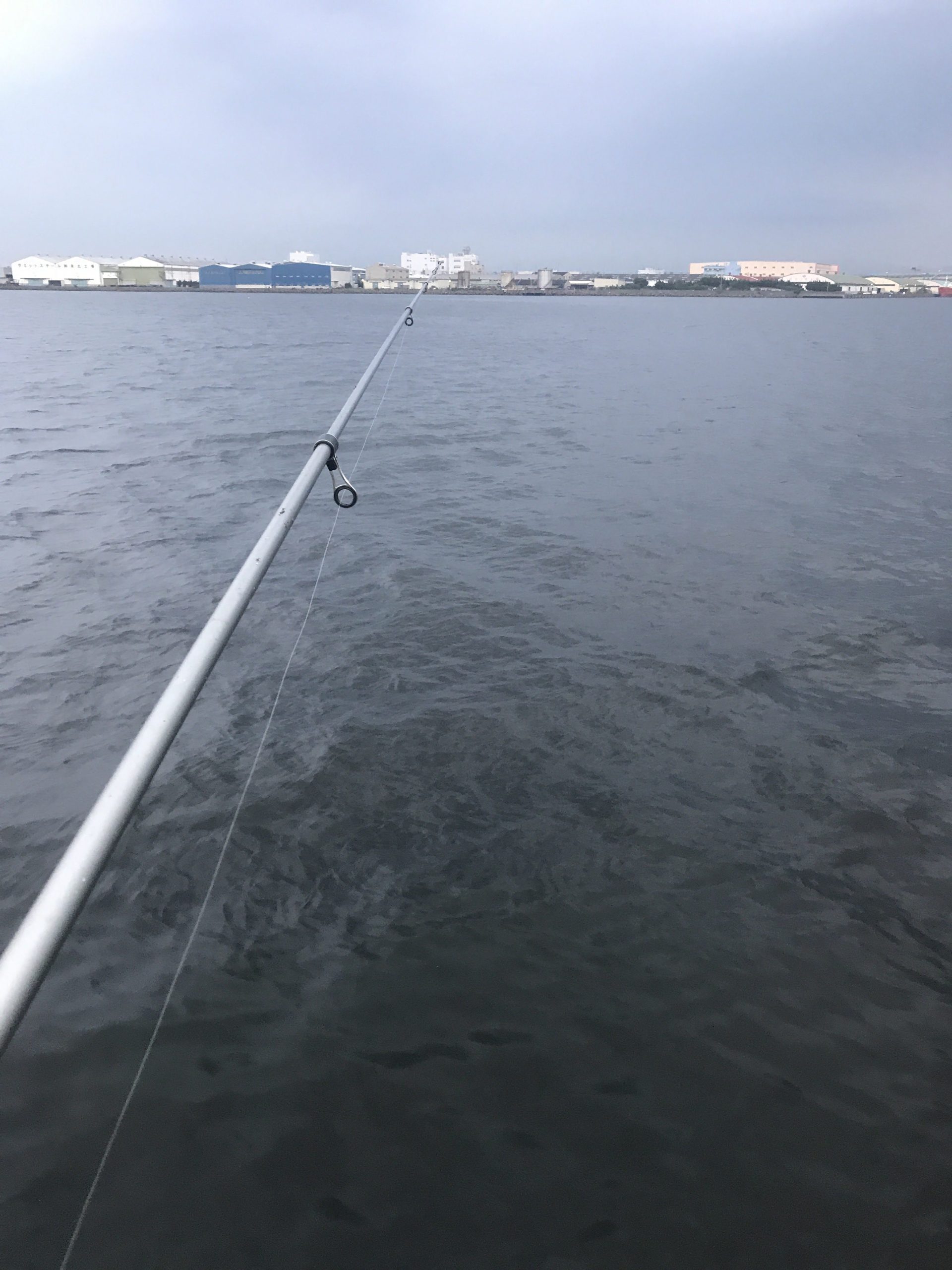 海釣りに行ってきました | Studio Nomade