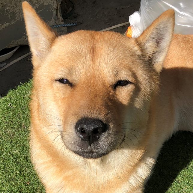 51になりました | Studio Nomade